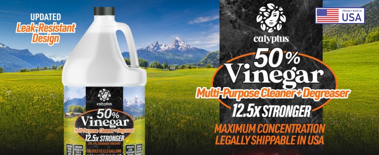 Calyptus Official Online Website