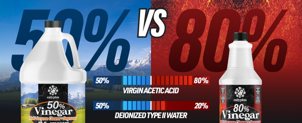 Calyptus Official Online Website